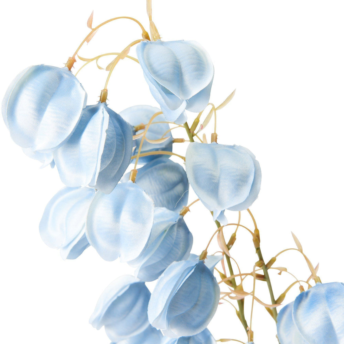 ART FLOWER ANDROMEDA Blue – weare-francfranc